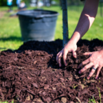 Sign up for Free Mulch! - MulchSpot