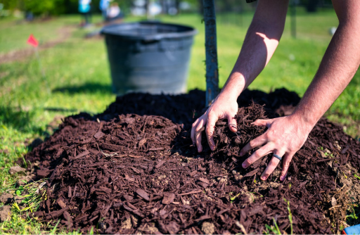 Sign up for Free Mulch! - MulchSpot